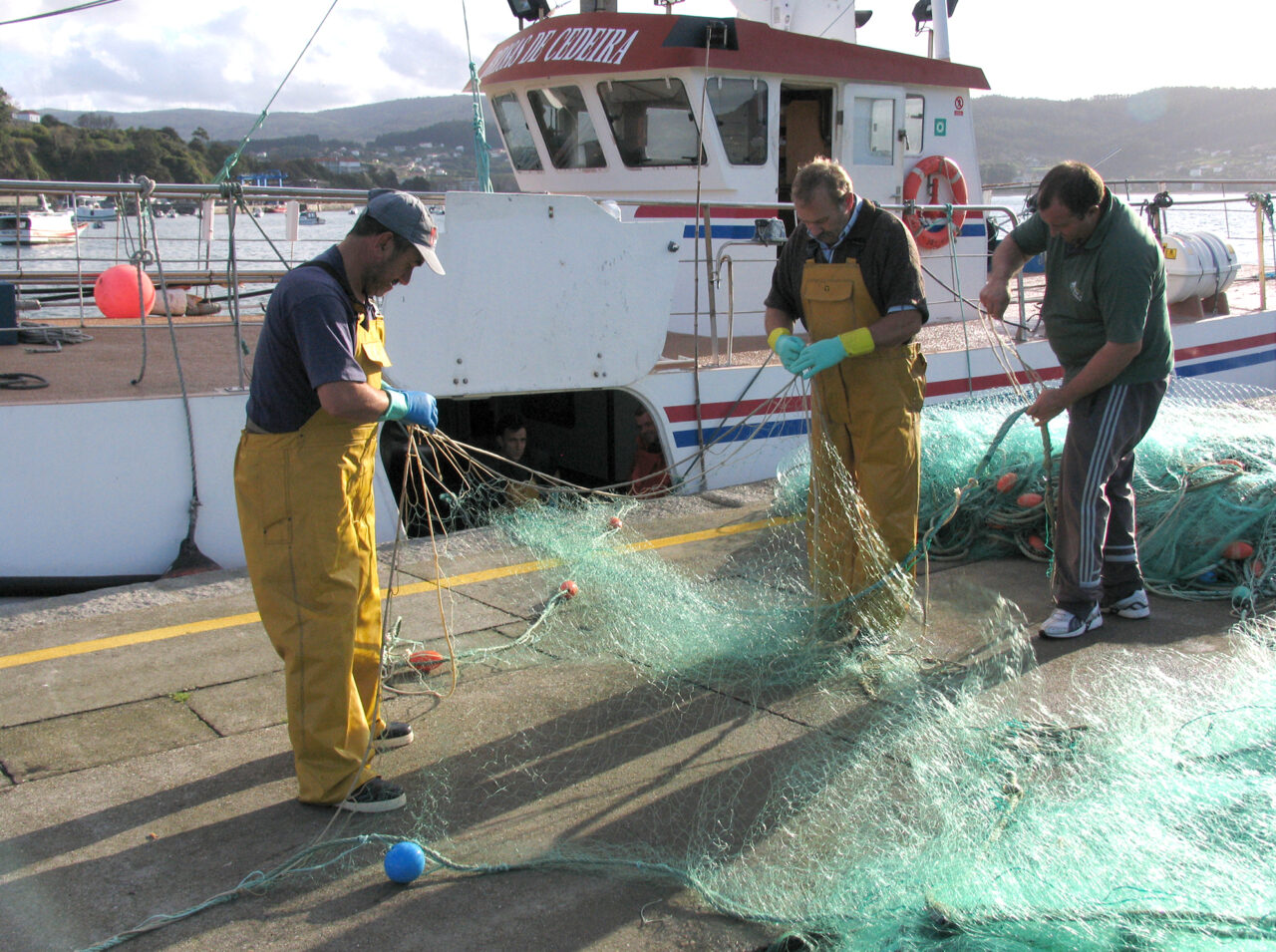 Murimar Vida - Murimar Seguros Mutua de seguros a prima fija