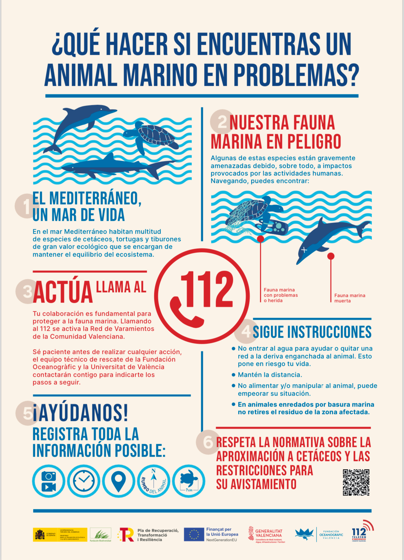 Cómo detectar la fauna marina en peligro - Murimar Seguros Mutua de ...